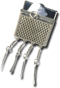 The Abyssinian Wish Box- A Magic Charm by Andreika